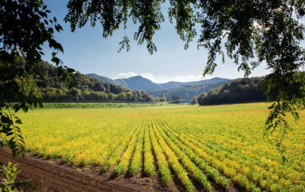 Aumentam os registros de invasões de terras no Brasil - Sociedade ...