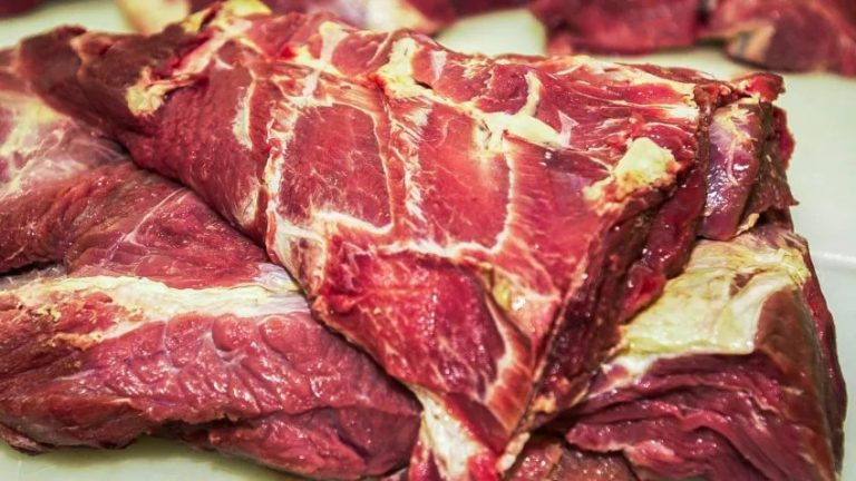 A mentira da carne de burro na Argentina. Por Xico Graziano - Sociedade ...